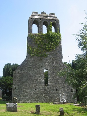 Ballyboughal | Buried in Fingal